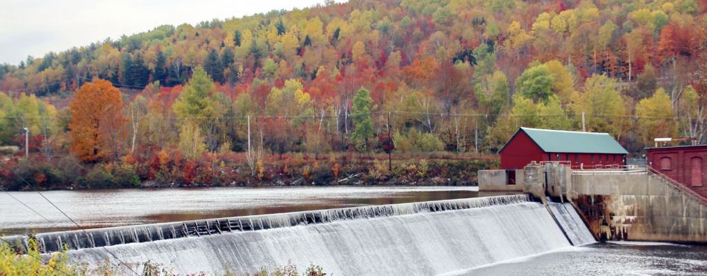 Our ETFs – Hamilton ETFs